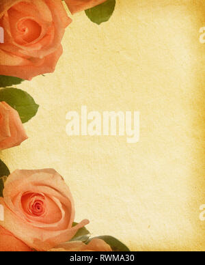 old paper textures with rose (Rosa canina Stock Photo - Alamy