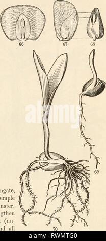 Image from page 65 of 'Advanced Geography' Stock Photo - Alamy