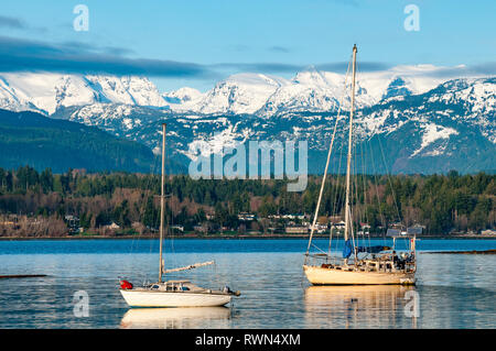 Anchored sailboats, Comox, Vancouver Island, British Columbia, Canada ...