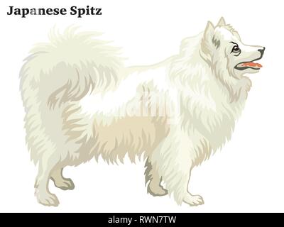 Decorative outline portrait of Dog Japanese Spitz, vector illustration ...