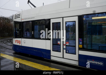 Tramway train, Geneva, Swiss Stock Photo - Alamy