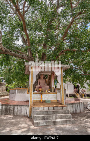 Buddhist Shrine under a sacred tree Wat Po Temple Bangkok Thailand ...