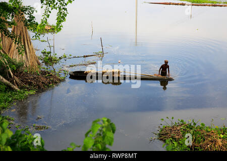 A palm tree boat also called donga carries jute fibres on the marsh in ...