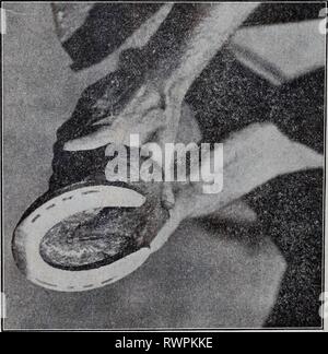 Image from page 93 of 'Elements of Geography. [With illustrations ...