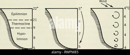 Image from page 201 of 'Elements of Geology A text-book, etc' Stock ...