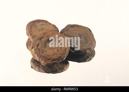 Bog iron is a form of impure iron deposit that develops in bogs or ...
