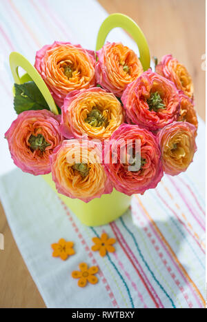 botany, Multicloured rose "Houdini', Caution! For Greetingcard-Use ...