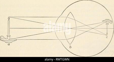 . Elements of human physiology. Physiology. Diagram to show Pawlow's ...