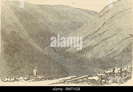 Evidence of Geological Fault Line on Stalagmite Stock Photo - Alamy