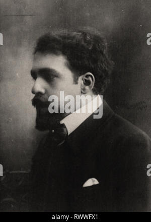 Portrait of the Hahn Stock Photo - Alamy