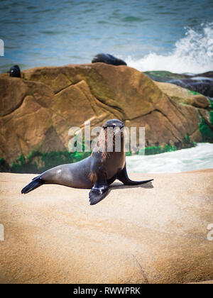 Summer view of Cabo Polonio Lighthouse, in Rocha, Uruguay; a beautiful ...