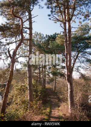 Fingringhoe wick nature reserve outside landscape background space open ...