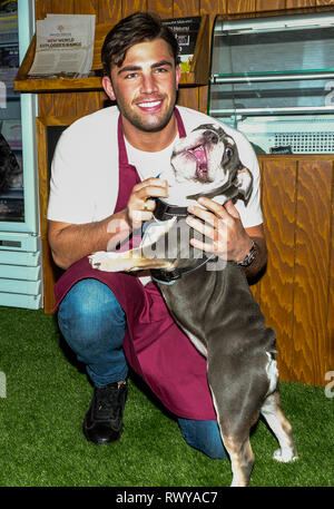 Birmingham, UK. 8th March, 2019. NEC Birmingham. Crufts Dog Show.Jack ...