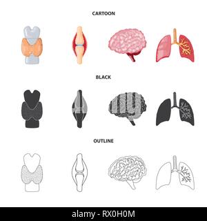 dorsal,bone,brain,lung,spinal,tendon,mind,trachea,bones,ligament ...
