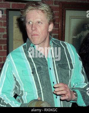Gary Busey 1995 Photo By John Barrett/PHOTOlink /MediaPunch Stock Photo ...