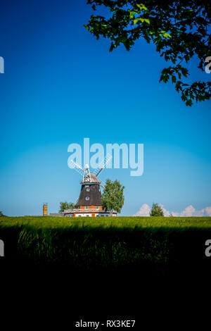 Windmill in spring behind a grain field Stock Photo - Alamy