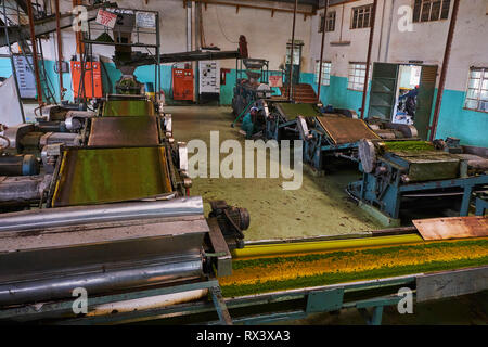 Kenya, Kericho county, Kericho, Momul tea factory of Kenya Tea ...