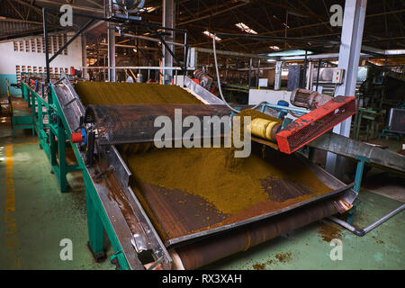 Kenya, Kericho county, Kericho, Momul tea factory of Kenya Tea ...