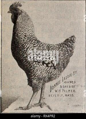 . The Eastern poultryman . aft ED BY WH PM.Mt;R. ef-Vt Ri.Y. MASS Stock ...