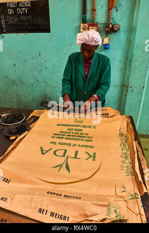 Kenya, Kericho county, Kericho, Momul tea factory of Kenya Tea ...