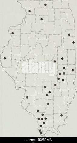 Ectoparasites of the cottontail rabbit Stock Photo - Alamy