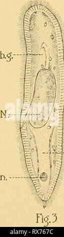 The effects of inanition and Stock Photo - Alamy