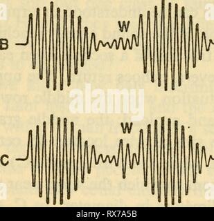 Echoes of bats and men Echoes of bats and men echoesofbatsmen00grif ...