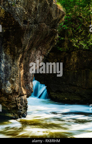 Eramosa River gorge in Spring, detail, Everton, Ontario, Canada Stock ...