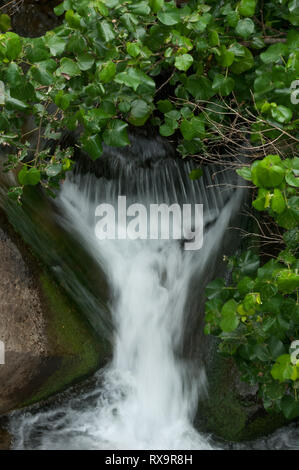 Profile Rock, Fall River Profile Rock, Fall River.; Profile Rock, Fall ...