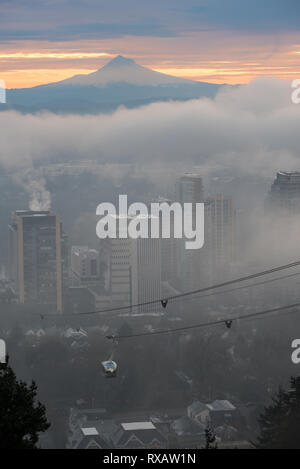 Portland aerial tram and Mt. Hood, Portland, Oregon Stock Photo - Alamy