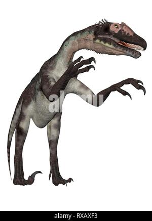 Utahraptor dinosaur, side view on black background Stock Photo - Alamy
