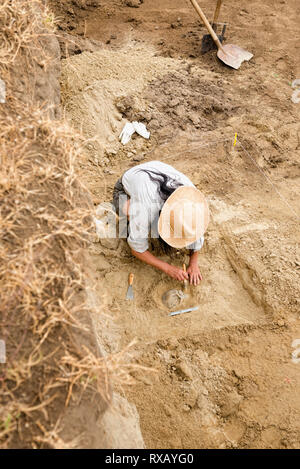 Prehistoric human bone remains. Ancient skeleton discovered by ...