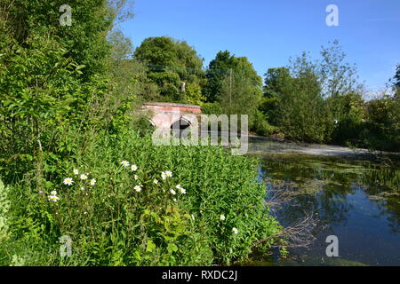 The River Box at Polstead, Suffolk, UK Stock Photo - Alamy