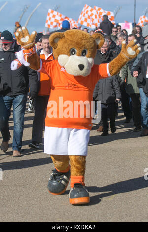 Blackpool mascot Bloomfield Bear Stock Photo - Alamy