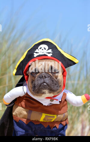 cute small boy dressed in warm jacket scarf and hat on green slope ...