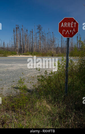 Eastmain River at James Bay, Quebec Stock Photo - Alamy