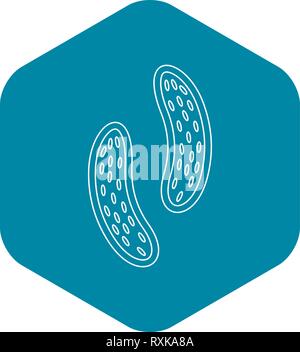Epithelial cell icon, outline style Stock Vector Image & Art - Alamy