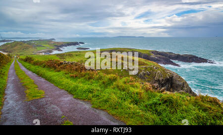 Brow Head, Co Cork, Ireland Stock Photo - Alamy