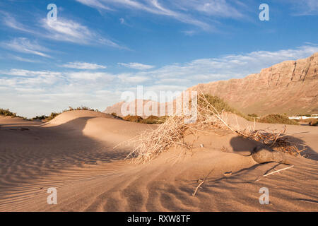Features sand dunes of the bay. Famara, Lanzarote. Spain Stock Photo ...