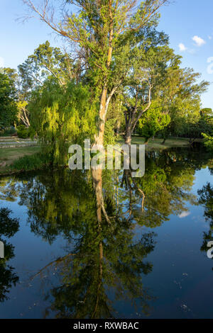 Scene view of Sarmiento Park (Parque Sarmiento), Córdoba, Argentina ...