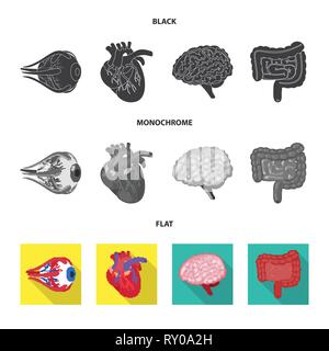 eyeball,heart,brain,eye,cardiology,mind,cornea,cardiovascular ...