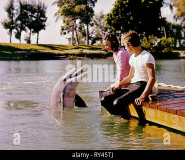 NEUES ABENTEUER MIT FLIPPER / Flipper's New Adventure USA 1963 / Leon ...