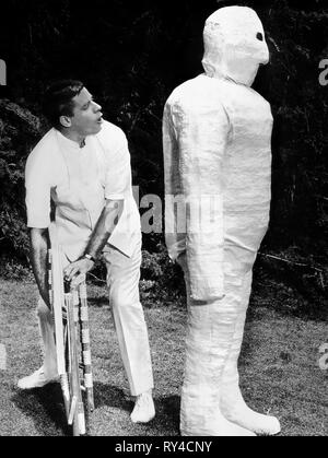 THE DISORDERLY ORDERLY, Jerry Lewis, 1964 Stock Photo - Alamy