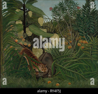 Henri Rousseau - Fight Between a Tiger and a Buffalo Stock Photo - Alamy