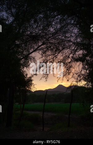 Baviacora, Mpo. Baviacora, Sonora, Mexico Stock Photo - Alamy