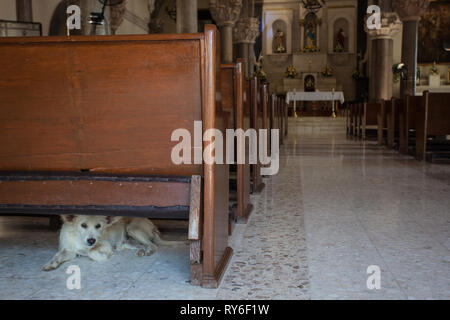Baviacora, Mpo. Baviacora, Sonora, Mexico Stock Photo - Alamy