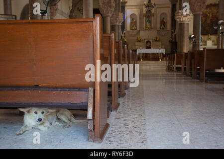 Baviacora, Mpo. Baviacora, Sonora, Mexico Stock Photo - Alamy
