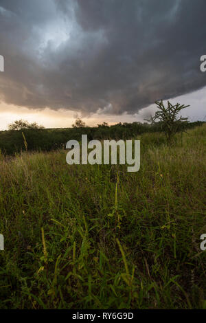 Saric, Mpo. Saric, Sonora, Mexico Stock Photo - Alamy