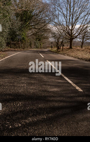 Chailey Common nature reserve, East Sussex. UK. 5th October 2018 ...