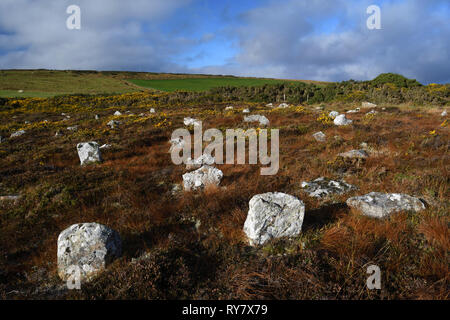 hill o'many stanes;stone row;mid-clyth;caithness;scotland Stock Photo ...